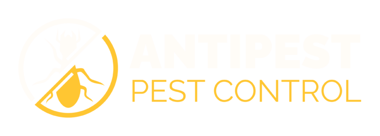 How to Get Rid of Ants in Laptop: 5 Proven Tips.